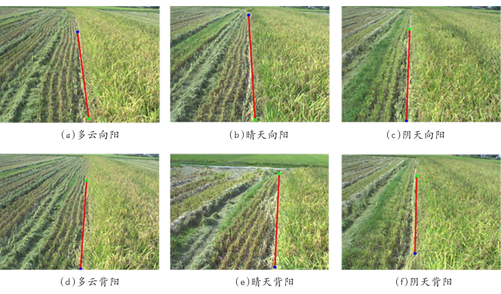 轮式谷物联合收获机视觉导航系统设计与试验