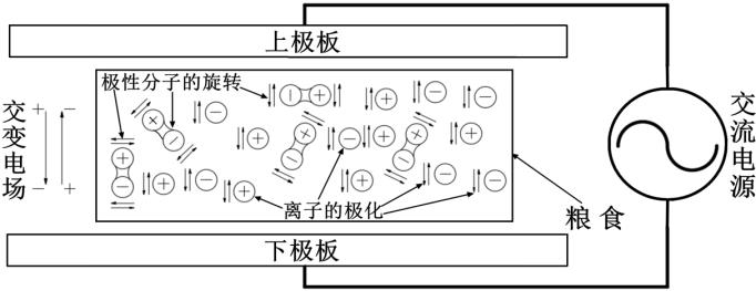 射频加热技术在粮食储藏与加工中应用研究进展